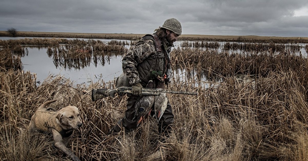 Folklore | BOSS Shotshells